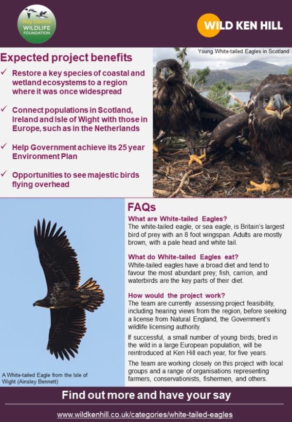 Summary of the Eagle proposals - Wild Ken Hill
