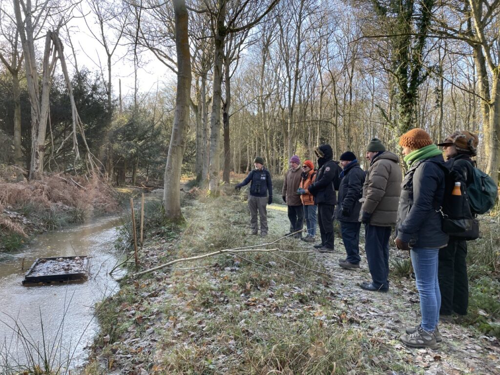 Nature Connect - Wild Ken Hill